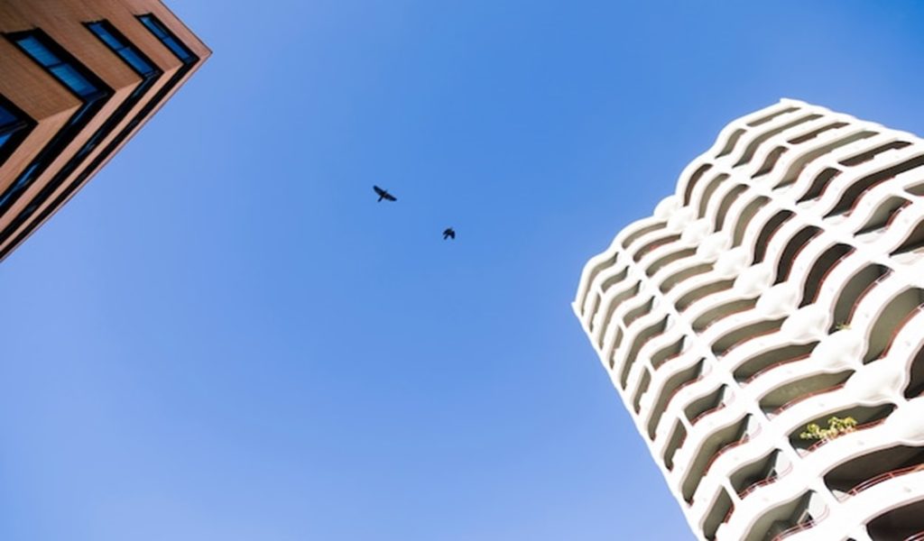 Why SDF Bird Proofing Products Leads the Industry in Bird Control ...